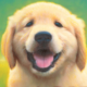 Ellen Miles | Author of The Puppy Place Books